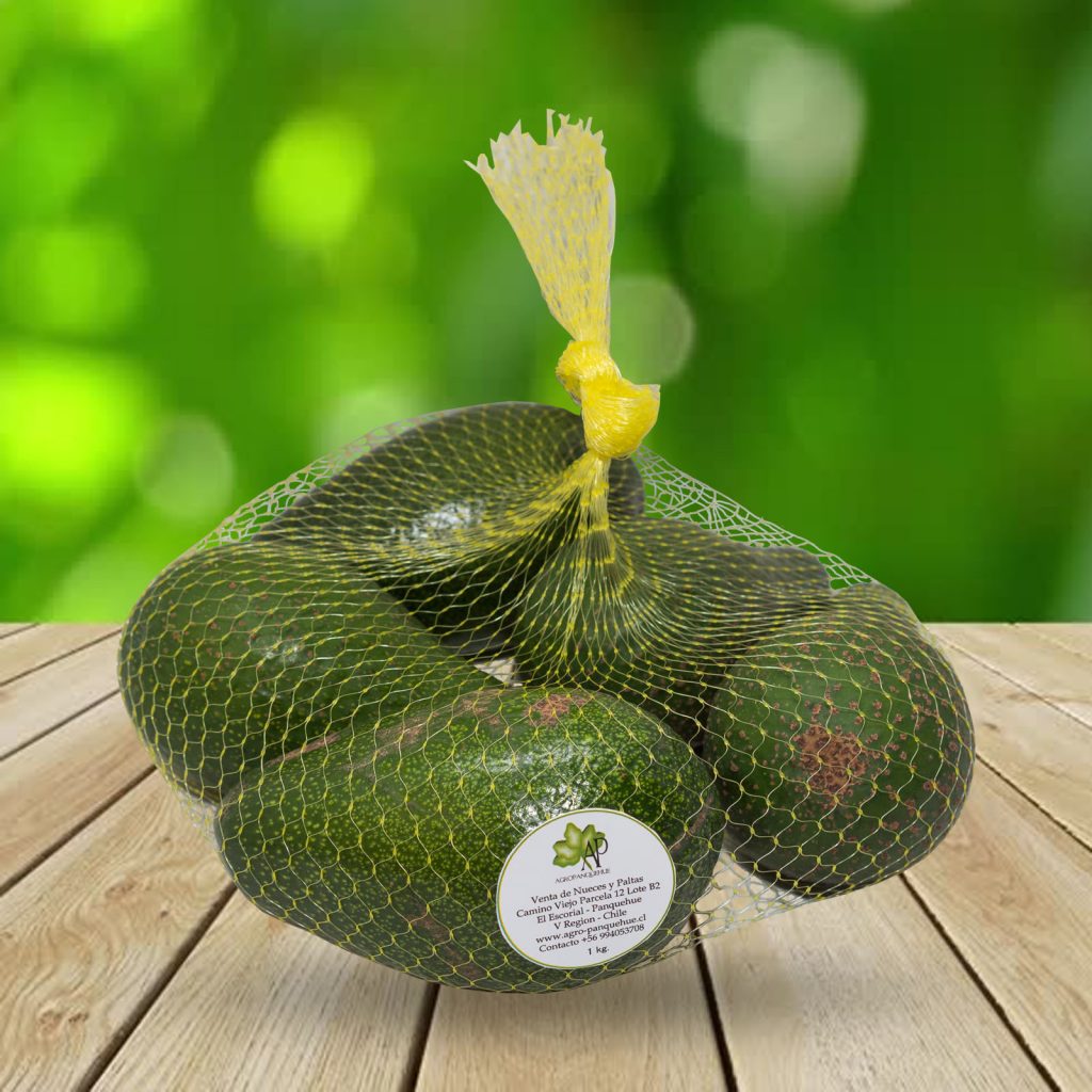 Palta Variedad Bacon, 1 Kg. – Agro Panquehue